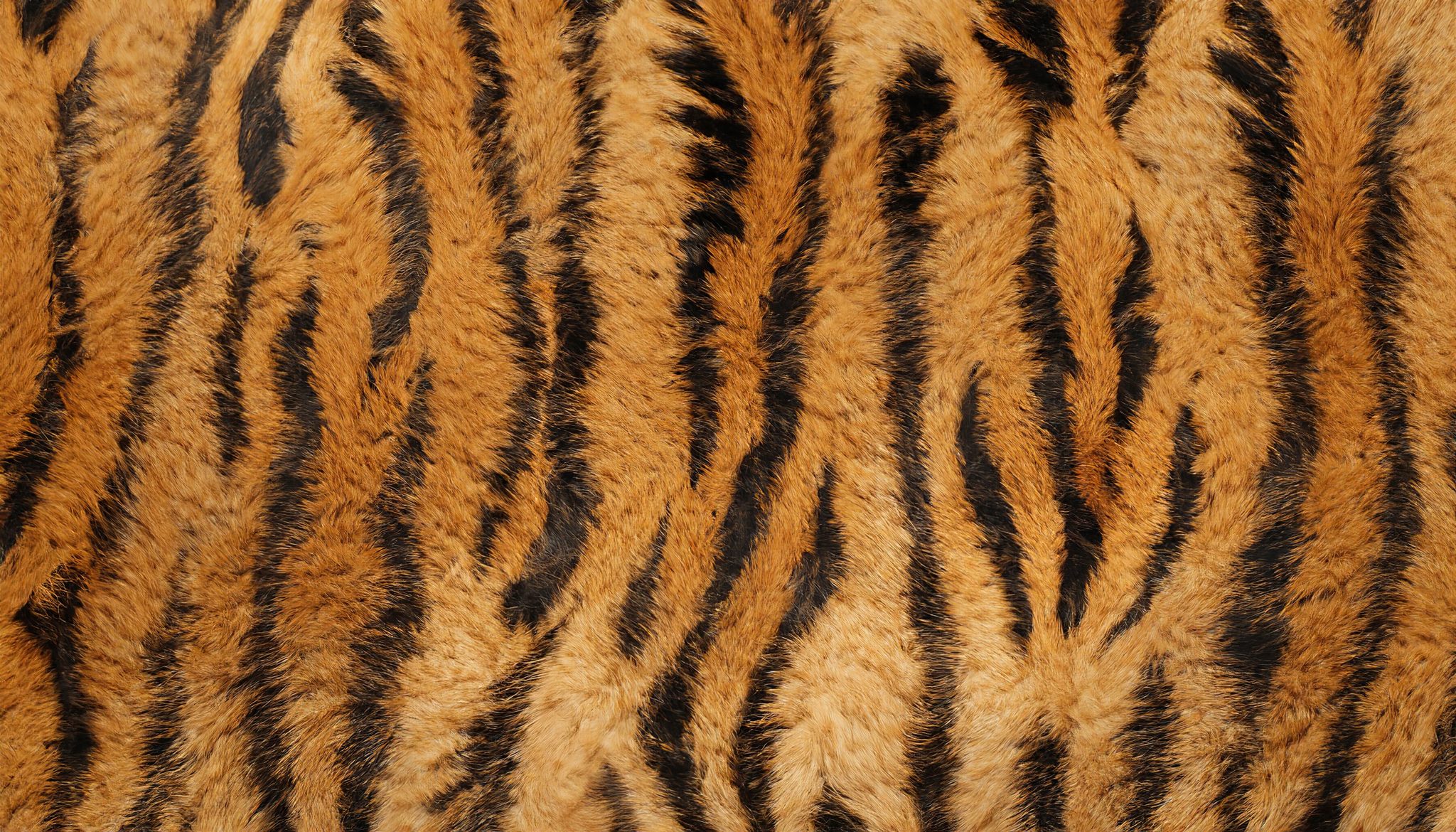 “Tiger print” rrëzon leopardin: Trendi i ri që do të dominojë modën në ...